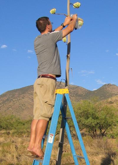 Jeffrey Riffell, University of [IMAGE] | EurekAlert! Science News Releases