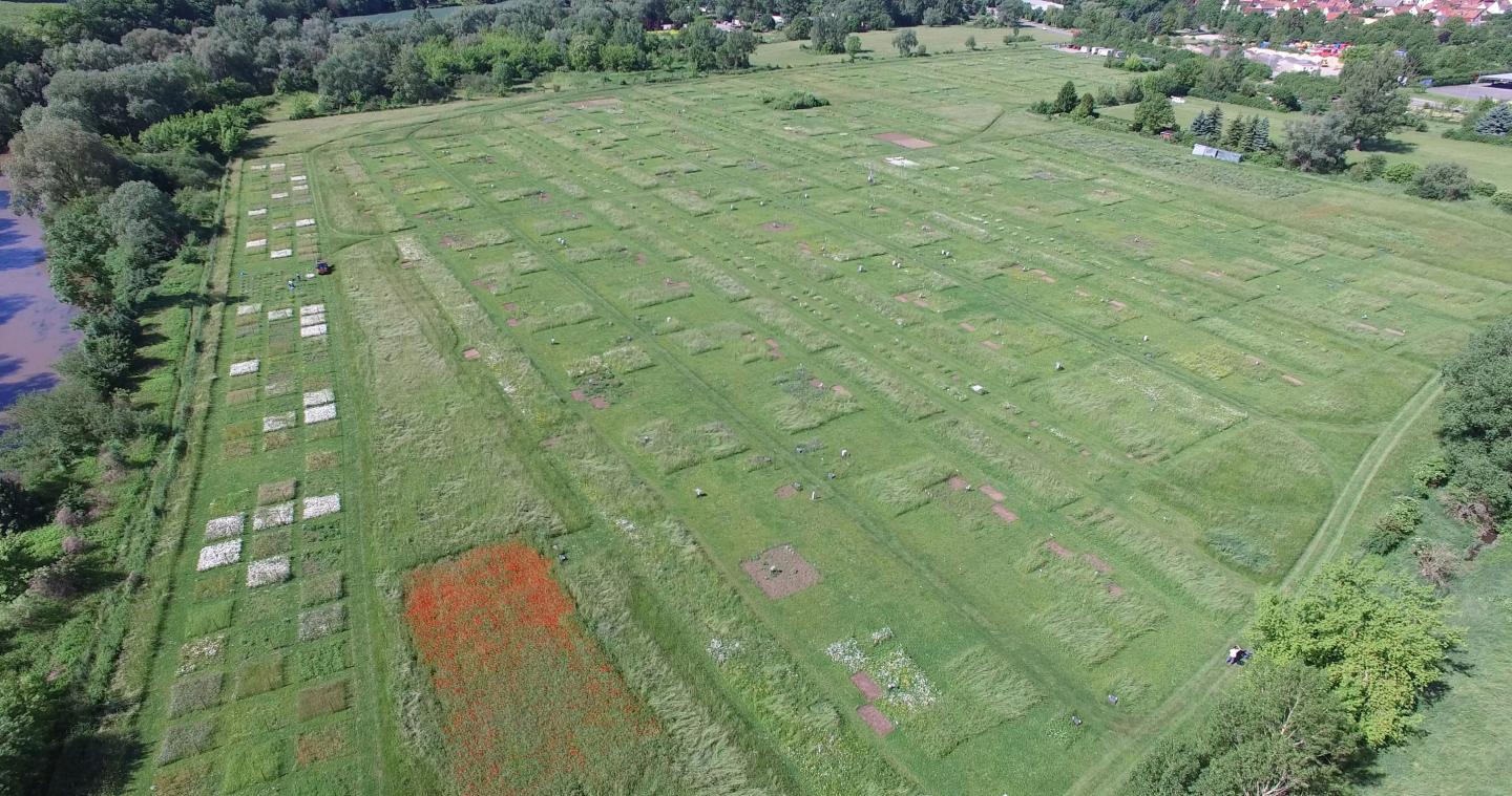 Jena Experiment [IMAGE] | EurekAlert! Science News Releases