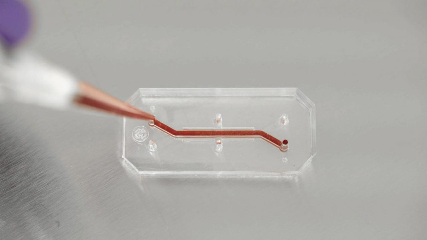 Emulate's Organs-on-Chips Tech [IMAGE] | EurekAlert! Science News Releases