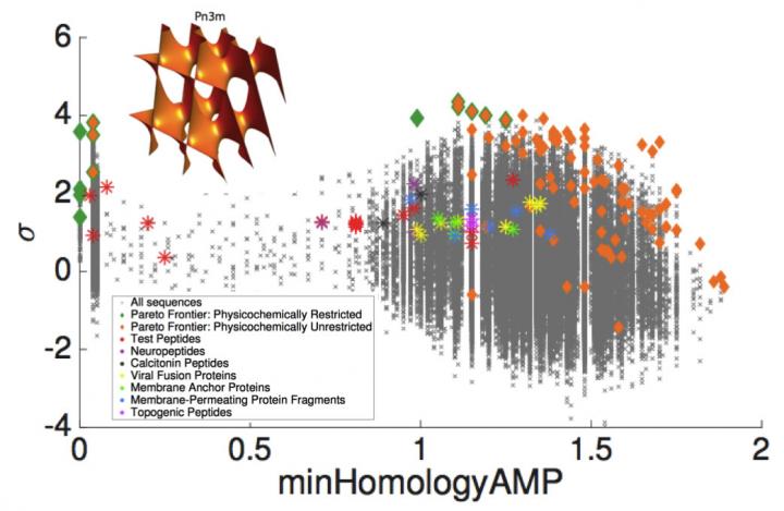 Peptide [IMAGE] | EurekAlert! Science News Releases