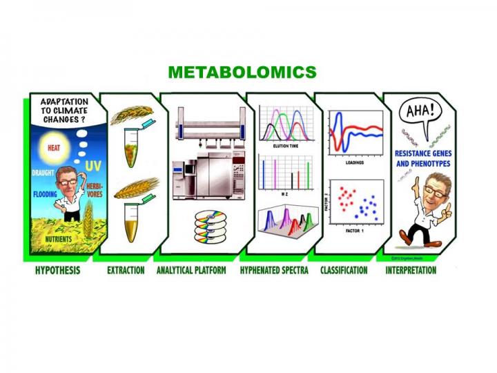 Metabolomics [IMAGE] | EurekAlert! Science News Releases