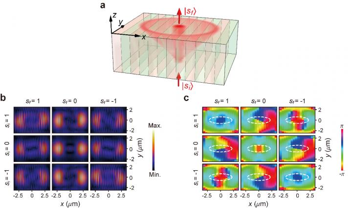 Spin-1 conical diffraction at [IMAGE] | EurekAlert! Science News Releases