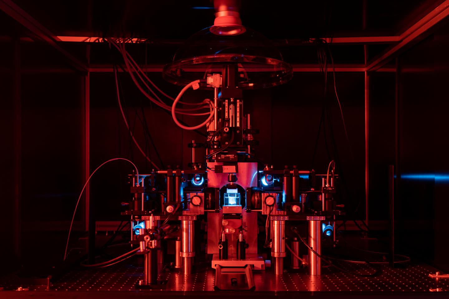 lightsheet microscope [IMAGE] | EurekAlert! Science News Releases