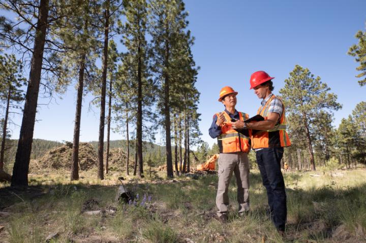 Forest engineer leads industry team in creati | EurekAlert!