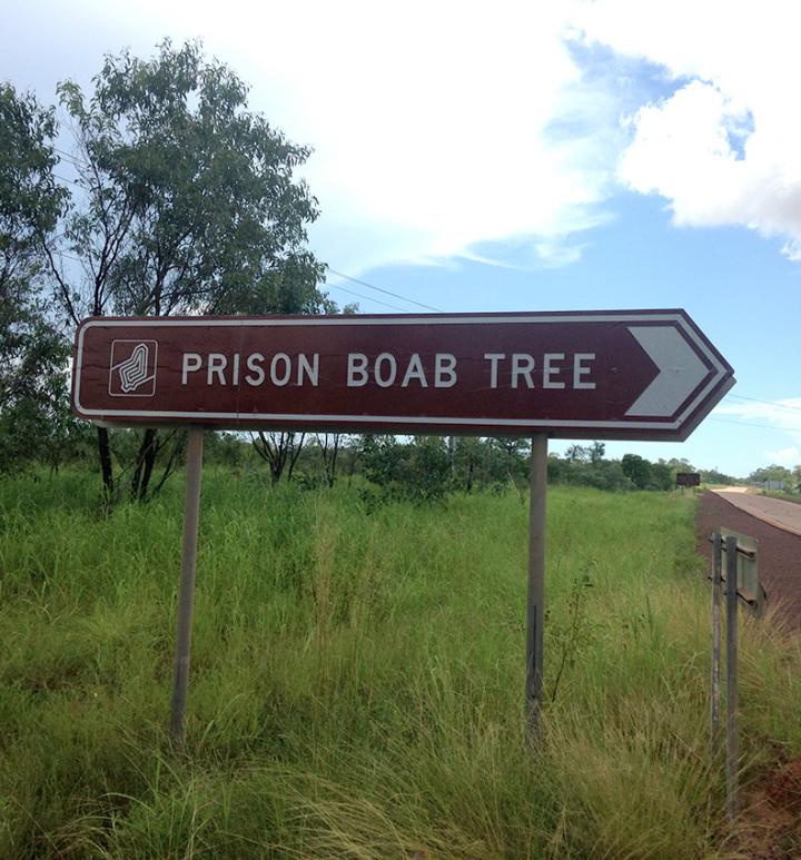 Prison Tree Sign [IMAGE] | EurekAlert! Science News Releases