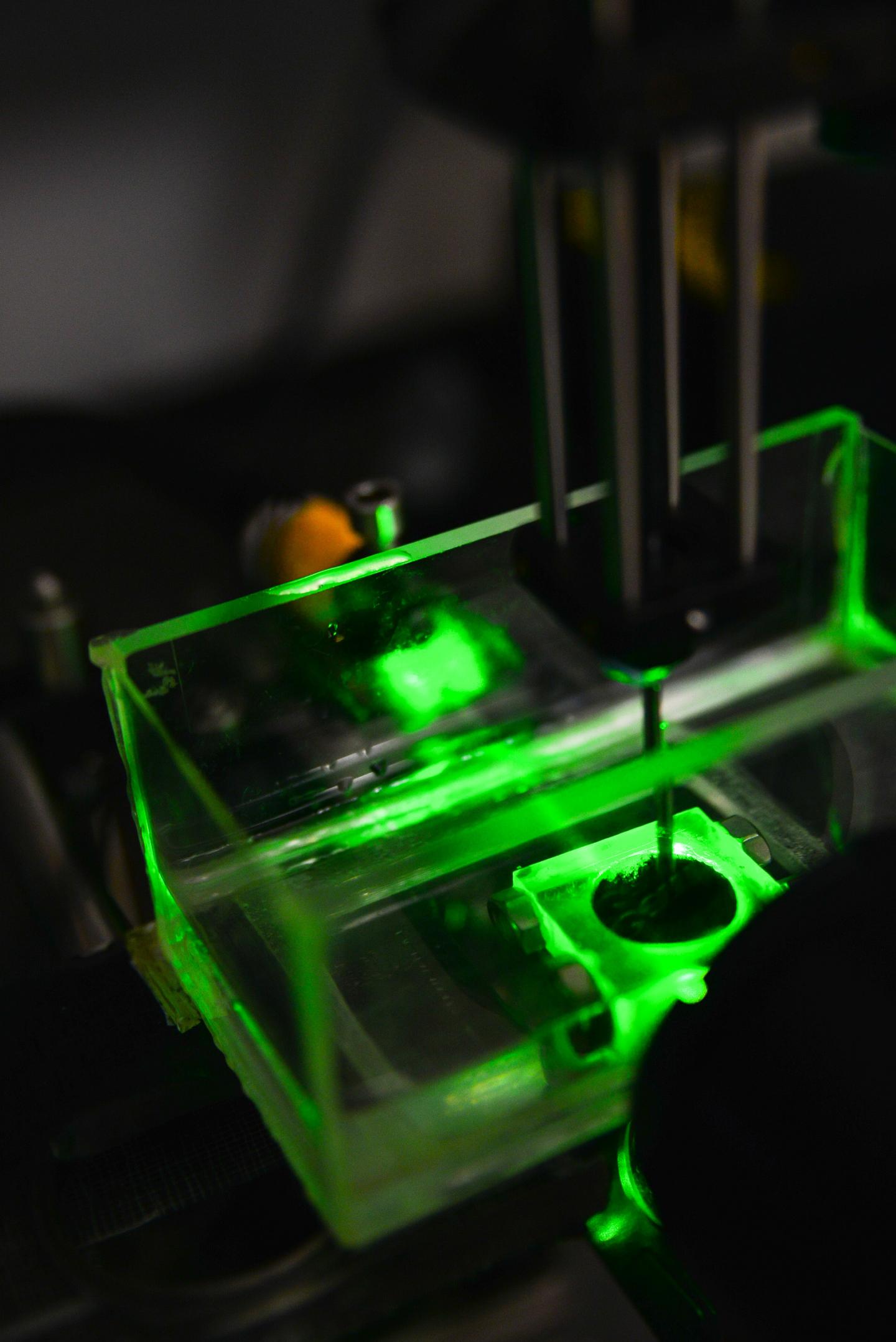 NTU scientists build new ultrasound device us | EurekAlert!