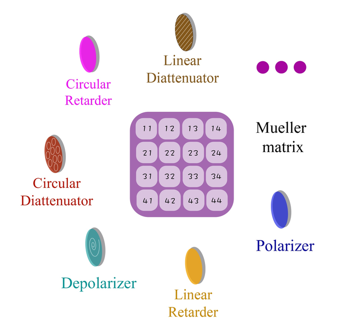 Mueller matrix and its encoded [IMAGE] | EurekAlert! Science News Releases