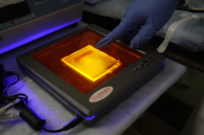 Running RNA gel [IMAGE] | EurekAlert! Science News Releases