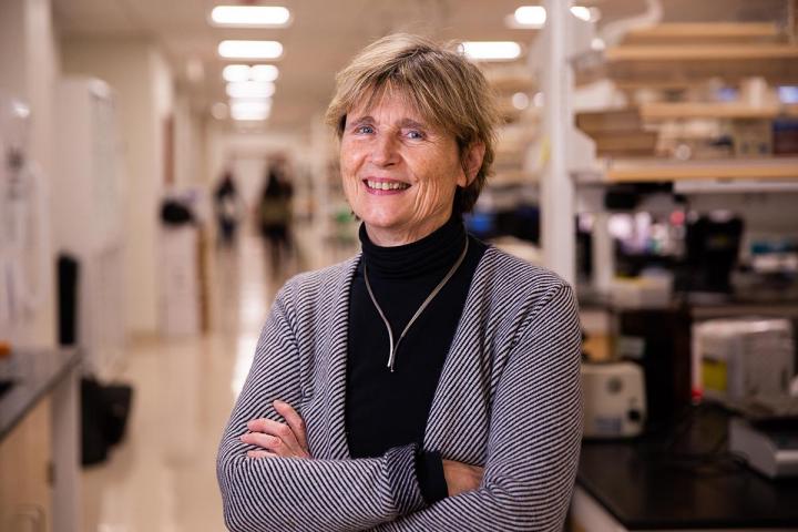 Ruth Lehmann: Recipient of the [IMAGE] | EurekAlert! Science News Releases