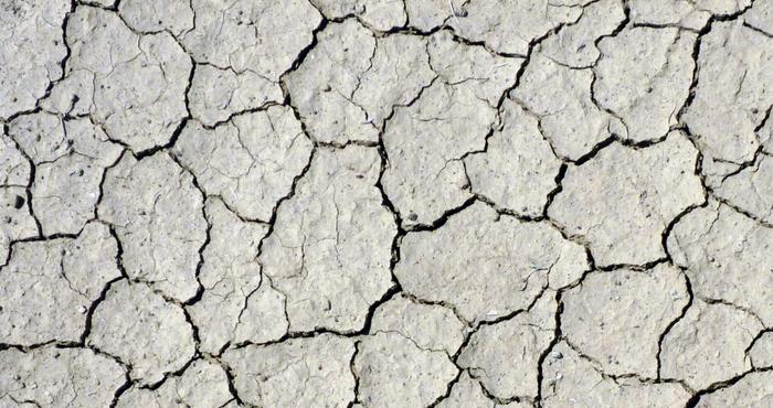 Fracture Image [IMAGE] | EurekAlert! Science News Releases