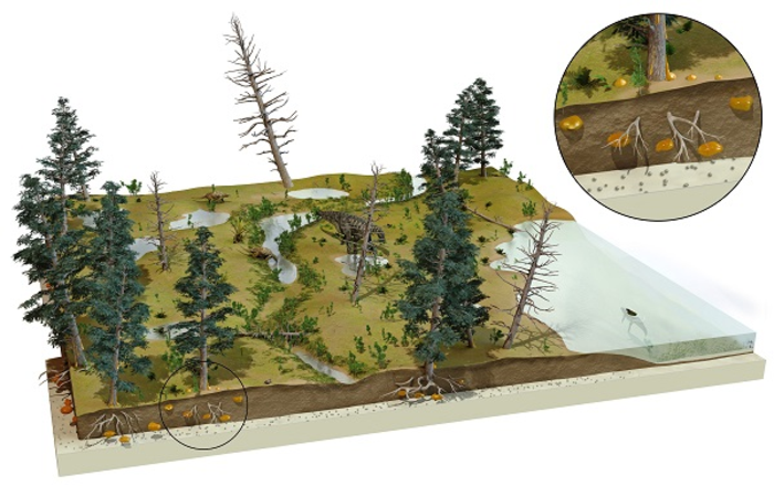 Paleoenvironment in Ariño [IMAGE] | EurekAlert! Science News Releases