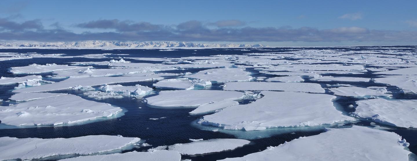 Scientists show polar 'polynya' supported mar | EurekAlert!