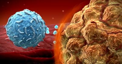 Keytruda (1 of 3) [IMAGE] | EurekAlert! Science News Releases