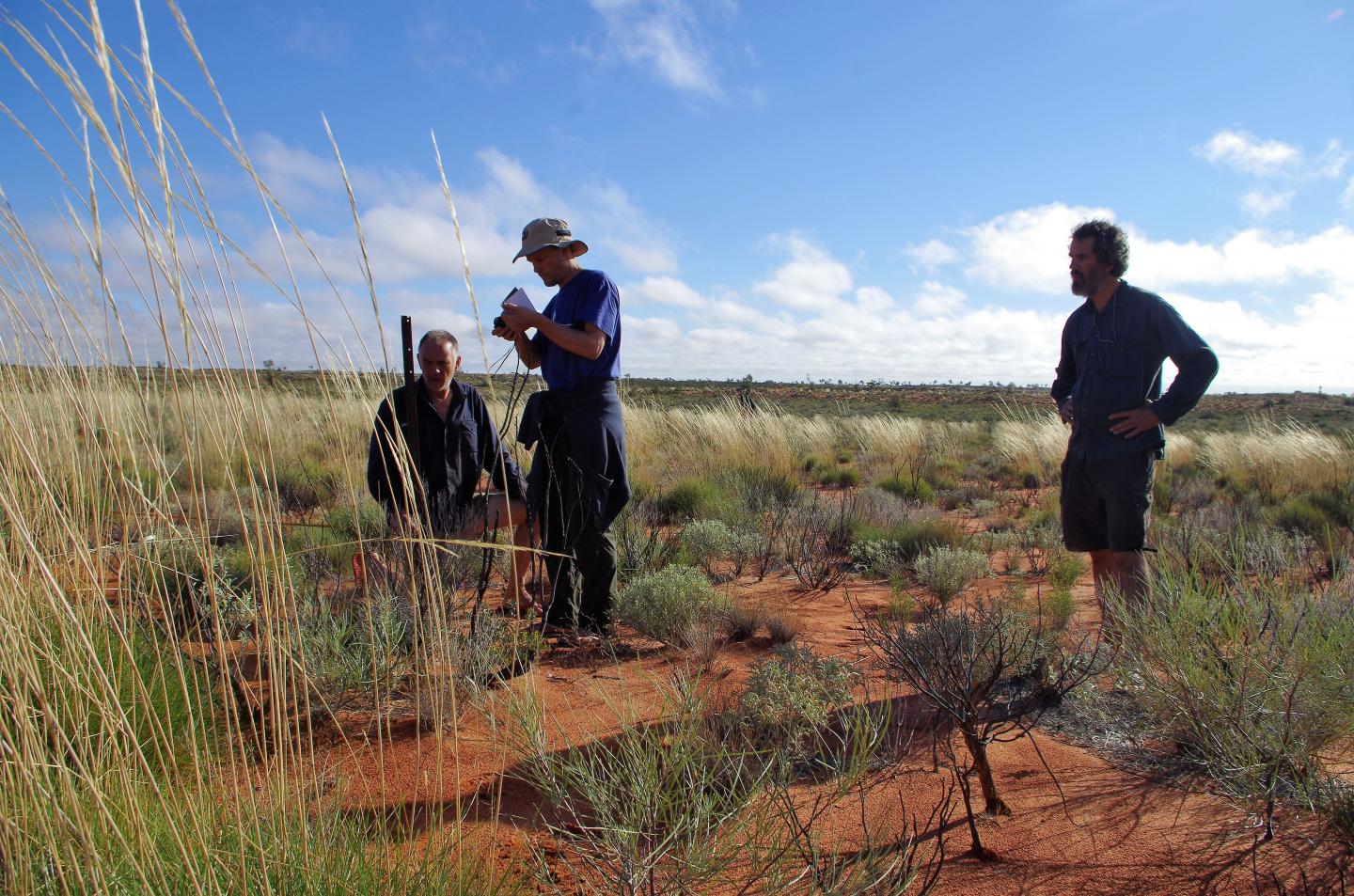 Desert Researchers [IMAGE] | EurekAlert! Science News Releases