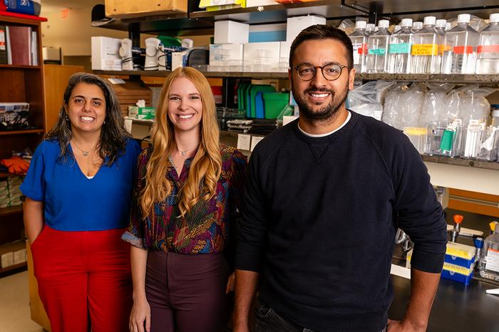 Barnoud Lab [IMAGE] | EurekAlert! Science News Releases