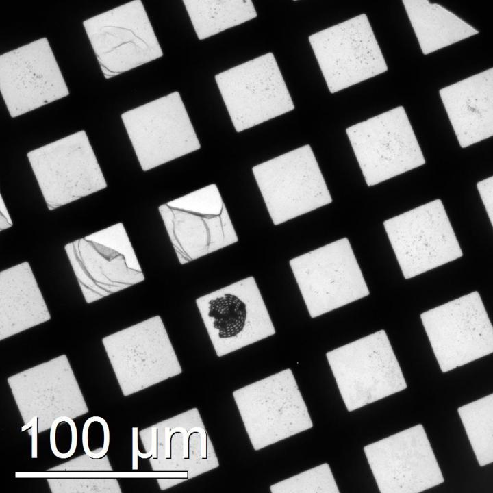 810 Million-Year-Old Microfossils Are Ancient | EurekAlert!