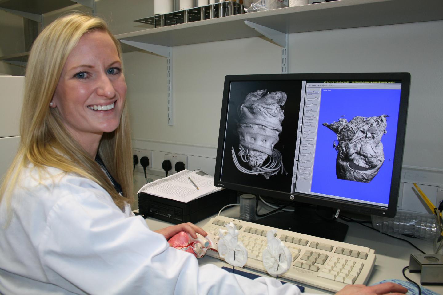 Dr. Ellen Roche, National Univ [IMAGE] | EurekAlert! Science News Releases