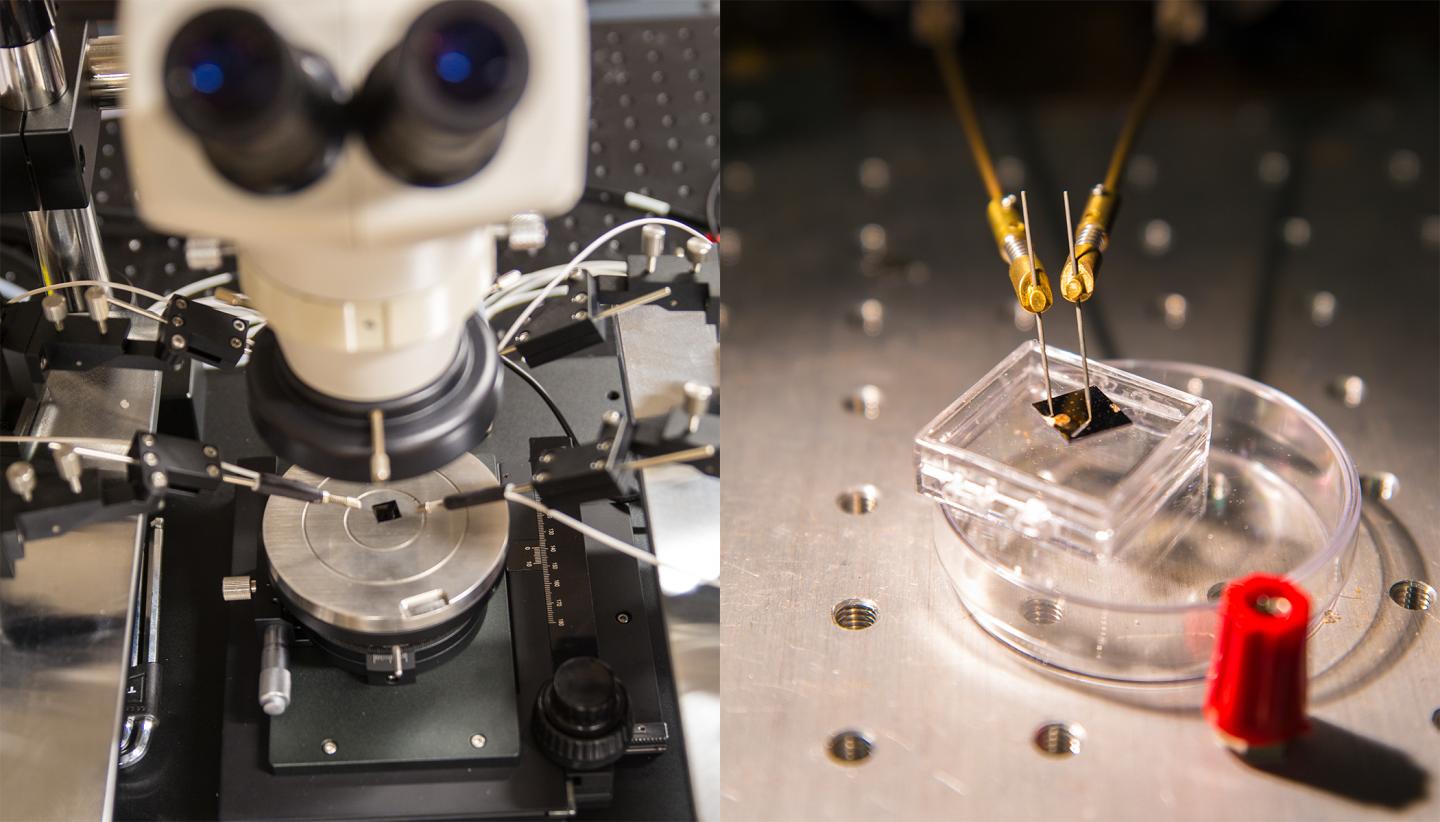 The Probe-station Device [IMAGE] | EurekAlert! Science News Releases