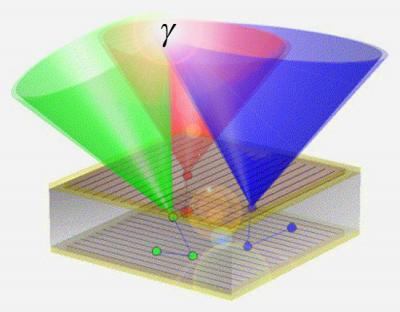 Applied nuclear physics for biomedicine, nucl | EurekAlert!