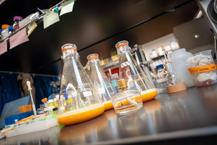 Microbial cell factories may help get to the | EurekAlert!