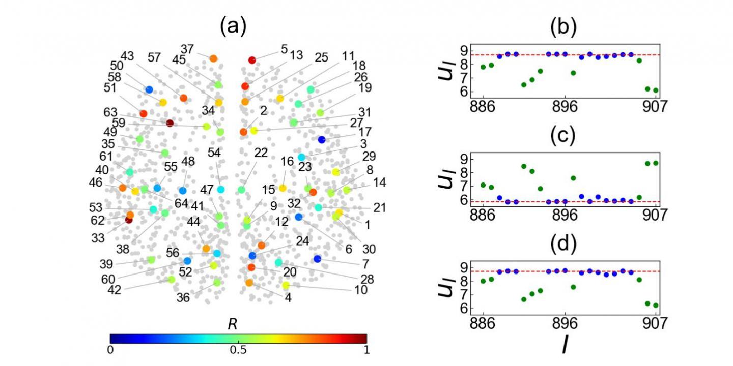 Spatial Multi-Scaled Chimera S [IMAGE] | EurekAlert! Science News Releases