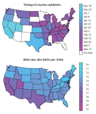 Rotavirus Epidemics Predicted [IMAGE] | EurekAlert! Science News Releases