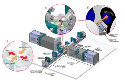 New Microscope Films Life in t [IMAGE] | EurekAlert! Science News Releases
