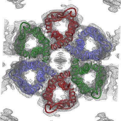 6-Molecule Ring of Urea Channe [IMAGE] | EurekAlert! Science News Releases