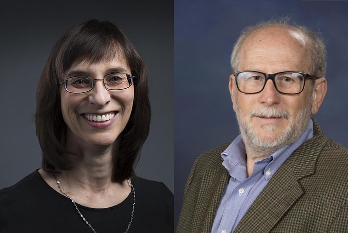 Two Los Alamos scientists honored by AAAS | EurekAlert!