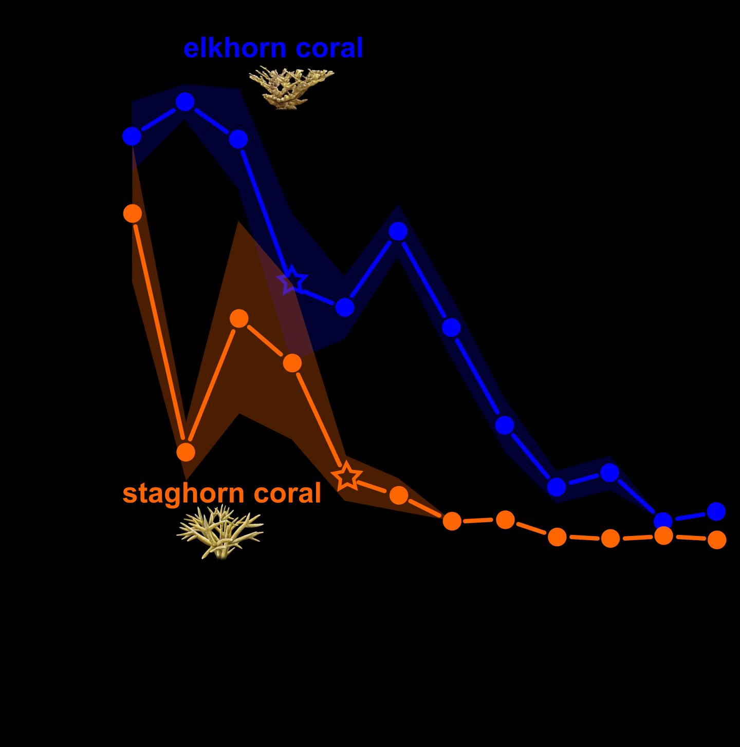 Coral decline [IMAGE] | EurekAlert! Science News Releases