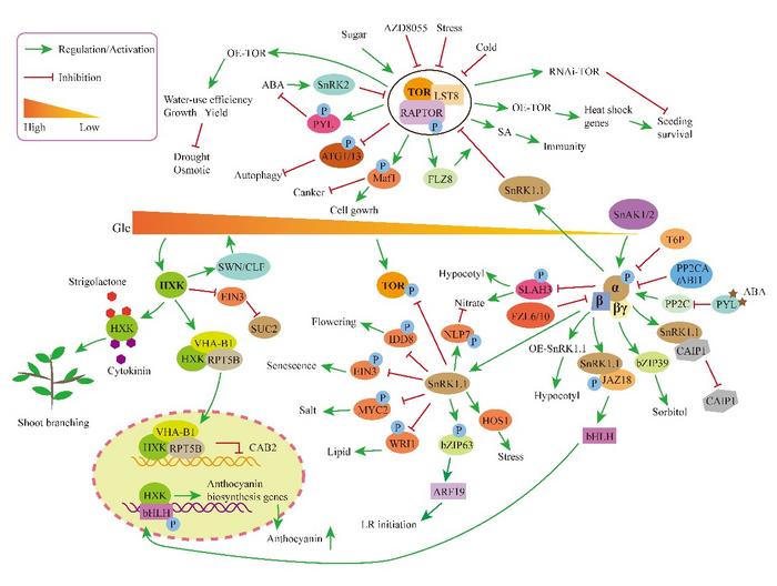 Fig 1. [IMAGE] | EurekAlert! Science News Releases