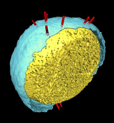 3-D molecular syringes | EurekAlert!