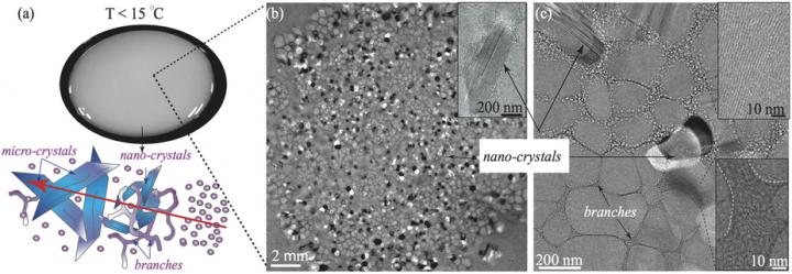 What Happens inside the Turbid [IMAGE] | EurekAlert! Science News Releases