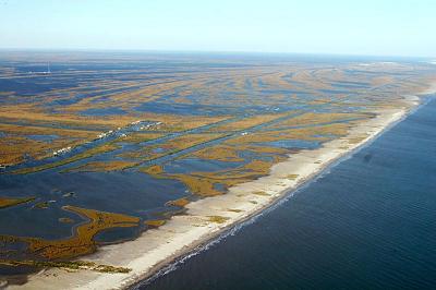 Mississippi River Delta Wetlands