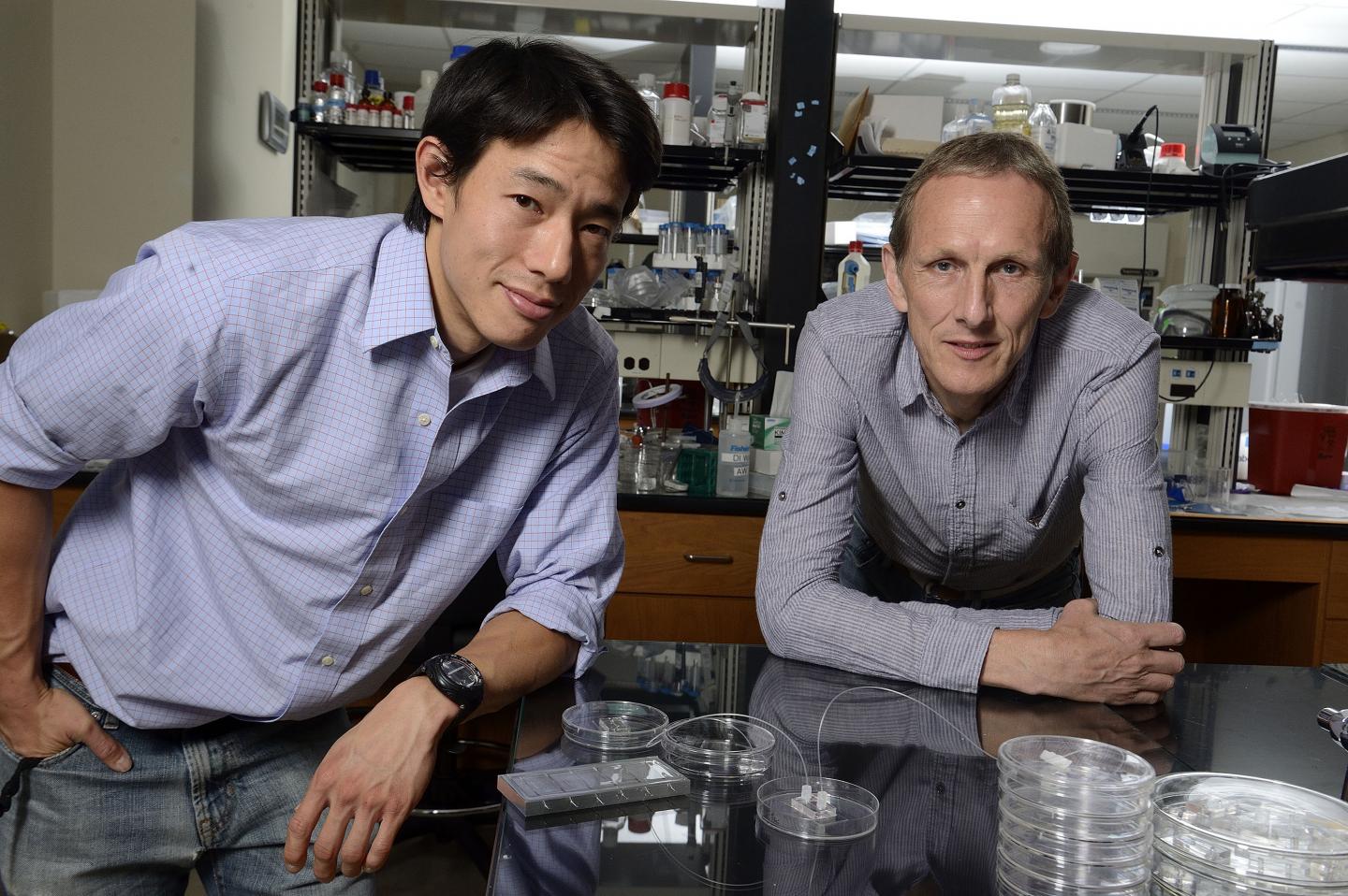 Andrew Wong and Peter Searson, [IMAGE] | EurekAlert! Science News Releases