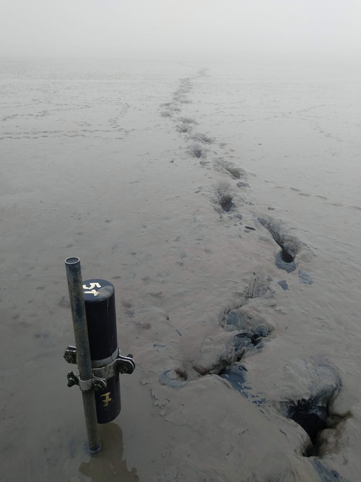 Wave logger [IMAGE] | EurekAlert! Science News Releases