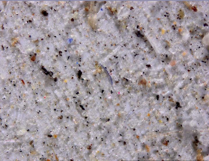 Plastic Dust [IMAGE] | EurekAlert! Science News Releases