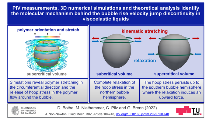 Graphical summary [IMAGE] | EurekAlert! Science News Releases