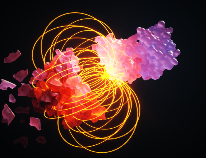 protein interactions [IMAGE] | EurekAlert! Science News Releases