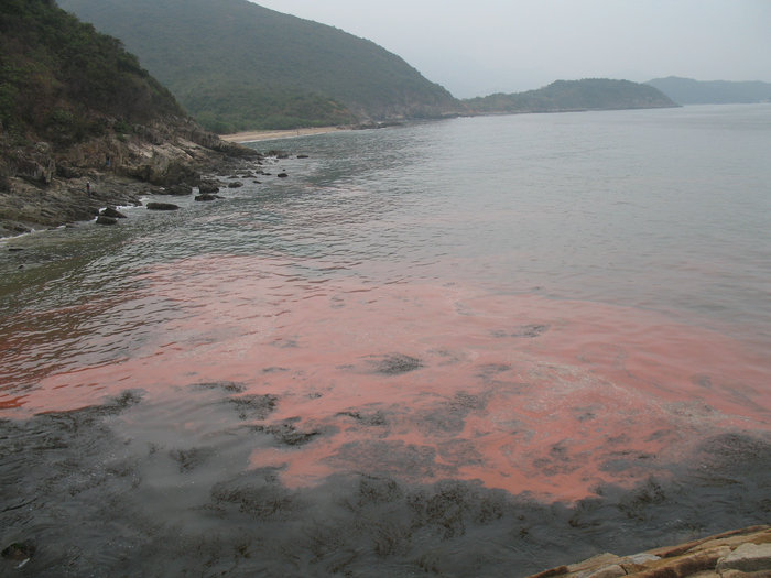 Image 3 [IMAGE] | EurekAlert! Science News Releases