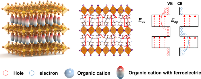 Molecular ferroelectrics drive two-dimensiona | EurekAlert!