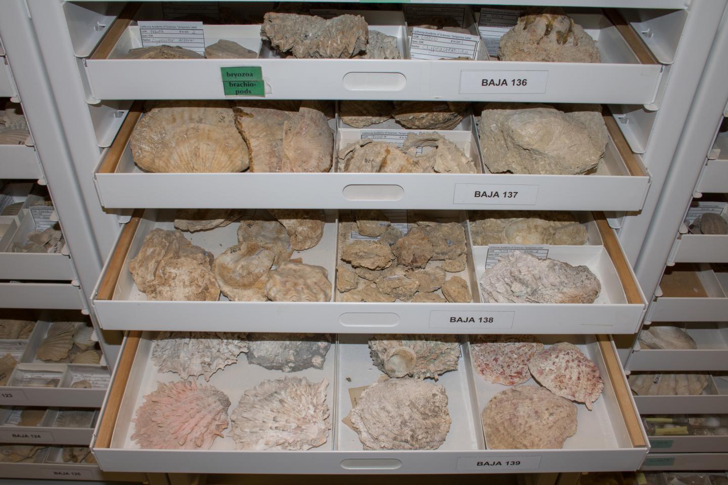 Geology Collection at the Cali [IMAGE] | EurekAlert! Science News Releases