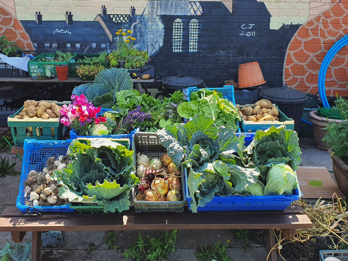 Urban crops can have higher yields than conve | EurekAlert!