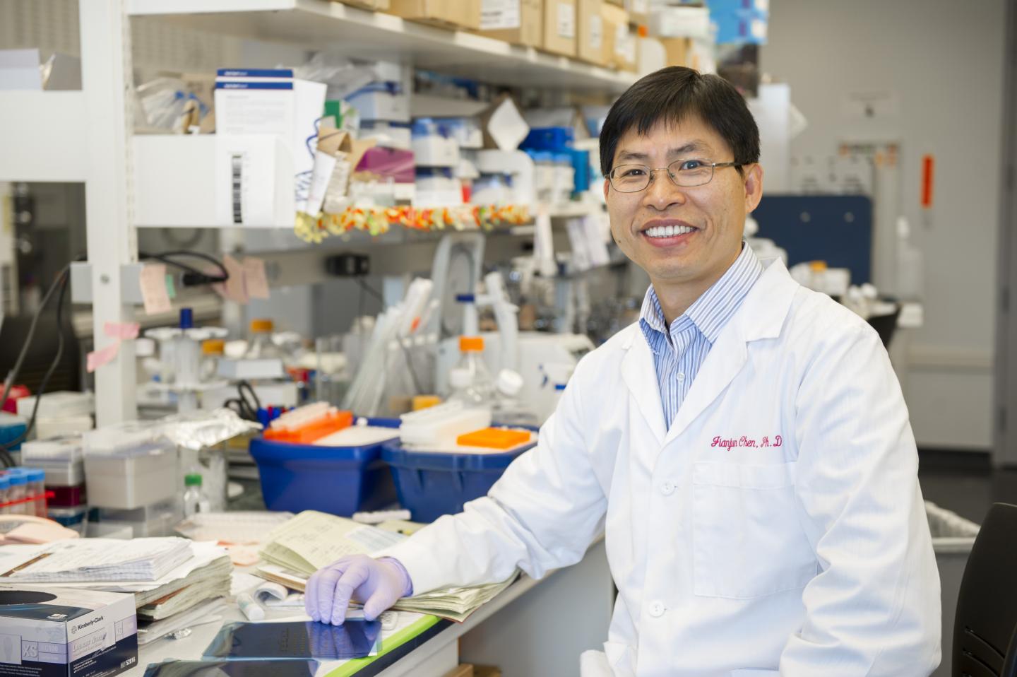 Jianjun Chen, Ph.D., Universit [IMAGE] | EurekAlert! Science News Releases