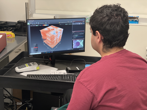 Researchers use optical imaging technology to | EurekAlert!