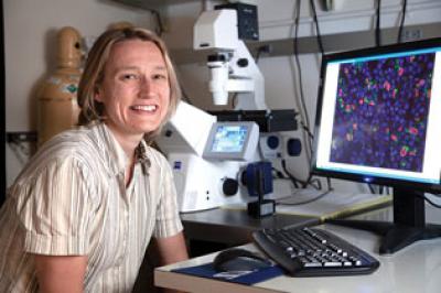 Maike Sander, M.D., University [IMAGE] | EurekAlert! Science News Releases