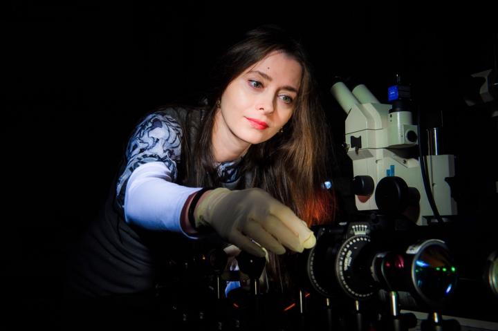 Professor Alina Karabchevsky, [IMAGE] | EurekAlert! Science News Releases