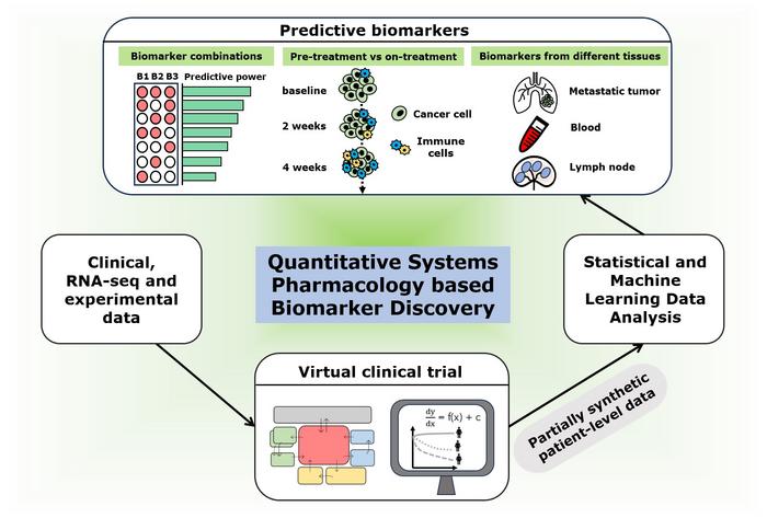 Computational tool developed to predict immun | EurekAlert!