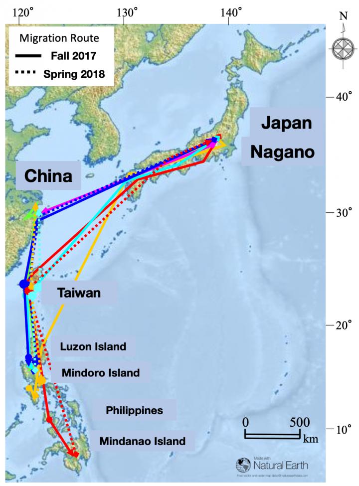 Migration Route Map [IMAGE] | EurekAlert! Science News Releases