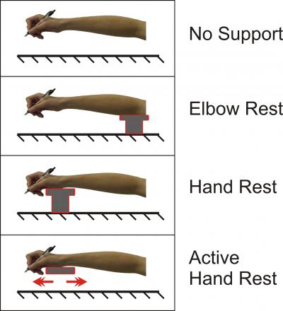 Four Forms of Arm Support [IMAGE] | EurekAlert! Science News Releases